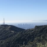 Beaudry Loop, California - 4,816 Reviews, Map | AllTrails