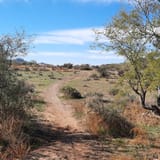 Apache Wash Loop Trail, Arizona - 1,882 Reviews, Map | AllTrails