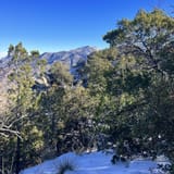 Mount Kimball via Finger Rock Trail #42 and Pima Canyon Trail #62 ...