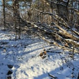 Raven Ridge Loop, Vermont - 255 Reviews, Map | AllTrails