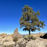 Lone Tree via Peralta Canyon Trail, Arizona - 1,773 Reviews, Map ...