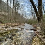 Riprap Trail , Virginia - 1,581 Reviews, Map | AllTrails