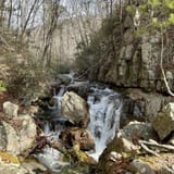Riprap Trail , Virginia - 1,586 Reviews, Map | AllTrails