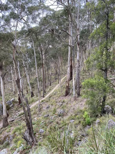 Best Cave Trails in Raglan | AllTrails