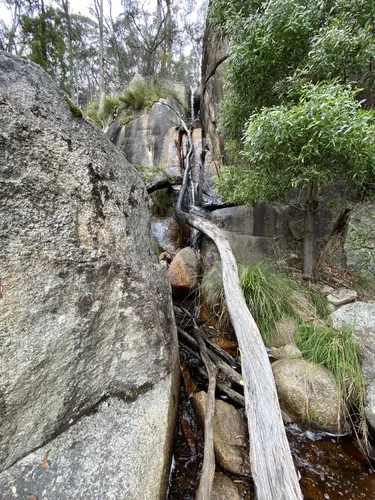 Best Cave Trails in Raglan | AllTrails