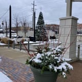 Illinois Prairie Path, Illinois - 208 Reviews, Map | AllTrails