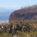 Geronimo's Cave, New Mexico - 374 Reviews, Map | AllTrails
