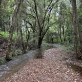 Enoggera Reservoir Circuit, Queensland, Australia - 1,563 Reviews, Map ...