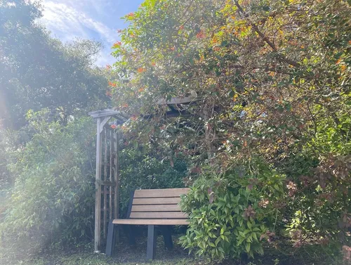 Best 10 Hiking Trails in Long Key Natural Area | AllTrails