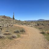 Apache Wash Sidewinder Loop Trail, Arizona - 1,557 Reviews, Map | AllTrails
