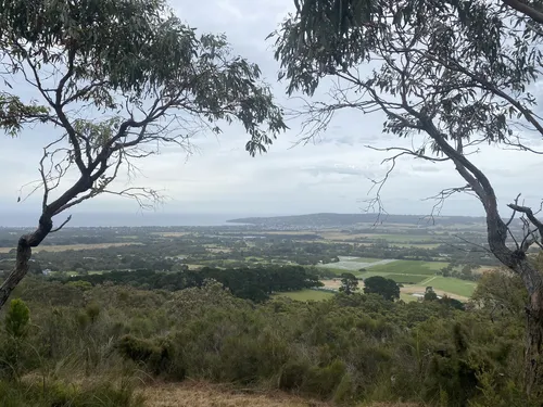 Best Hikes and Trails in Bald Hill Nature Conservation Reserve | AllTrails