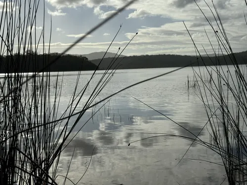 Best Hikes and Trails in Beerwah State Forest | AllTrails