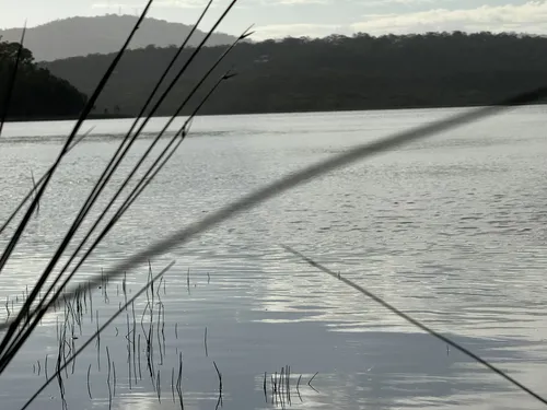 Best Hikes and Trails in Beerwah State Forest | AllTrails