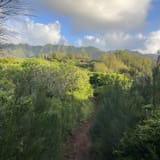 Hawaiʻi Loa Ridge Trail [PRIVATE PROPERTY], Oahu, Hawaii - 1,304 ...