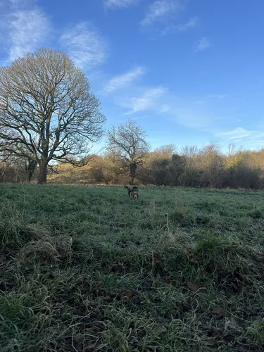 Best Hikes and Trails in Dams to Darnley Country Park | AllTrails