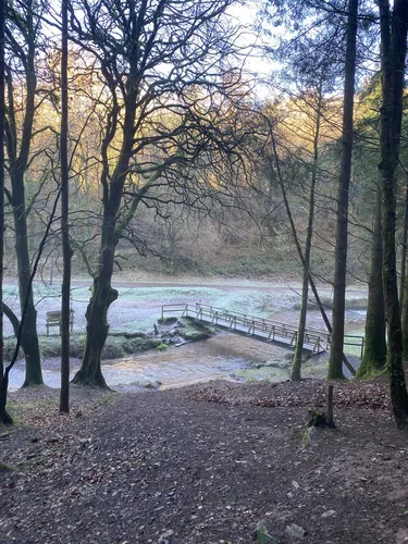 Best Hikes and Trails in Curragh Wood | AllTrails