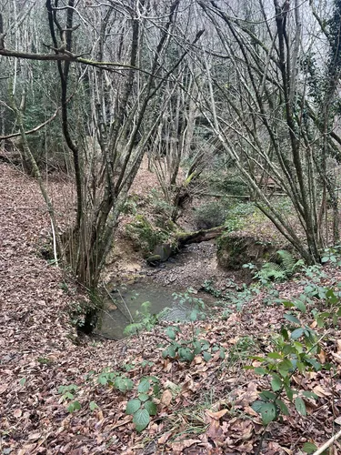 Best Hikes and Trails in Ashdown Forest | AllTrails