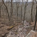 High Rocks, Pennsylvania - 2,773 Reviews, Map | AllTrails