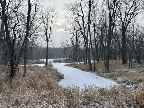 Best Bird Watching Trails in Shiawassee National Wildlife Refuge ...