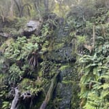 Cecilia Waterfall via Cecilia Forest, Western Cape, South Africa ...