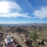 Dixie Mountain Loop Trail, Arizona - 3,104 Reviews, Map | AllTrails