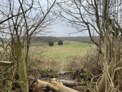 Best Hikes and Trails in Selsdon Wood Nature Reserve | AllTrails