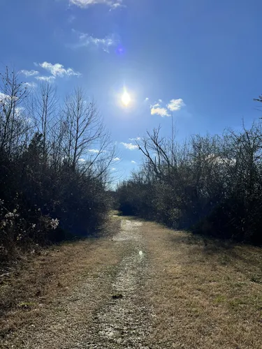 Best Hikes and Trails in Bells Bend Park | AllTrails