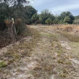 Rooks Trail West, Florida - 144 Reviews, Map | AllTrails