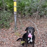 Rooks Trail West, Florida - 144 Reviews, Map | AllTrails