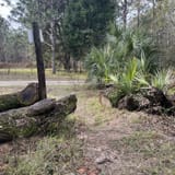 Rooks Trail West, Florida - 144 Reviews, Map | AllTrails