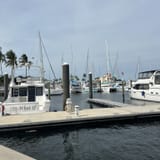 Bradenton Riverwalk Trail, Florida - 271 Reviews, Map | AllTrails