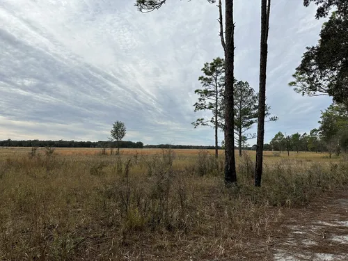 Best Hikes and Trails in Watermelon Pond Wildlife and Environmental ...