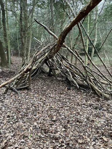 Best Hikes and Trails in Lloyd Park | AllTrails