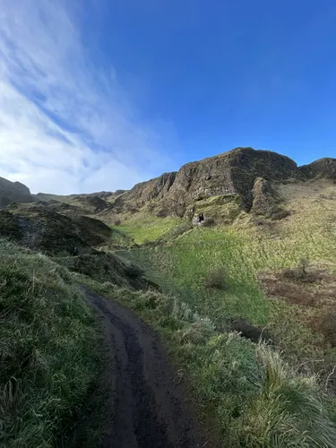 10 Best Forest Trails in Northern Ireland | AllTrails