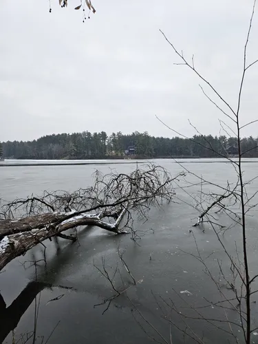 Best Hikes and Trails in Nepco Lake County Park | AllTrails