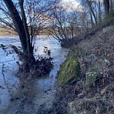 Turkey Run Potomac Heritage Trail, Virginia - 1,389 Reviews, Map ...