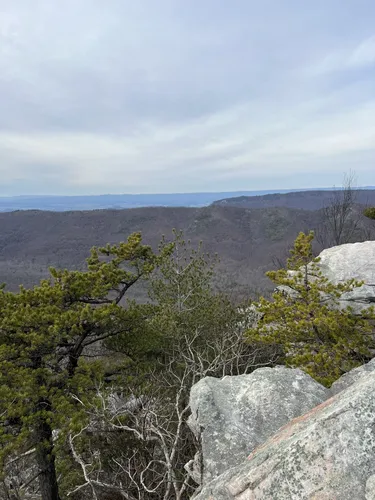 Best Views Trails in Mount Jackson | AllTrails