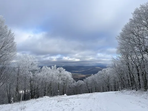 Best Hikes and Trails in Plattekill State Forest | AllTrails