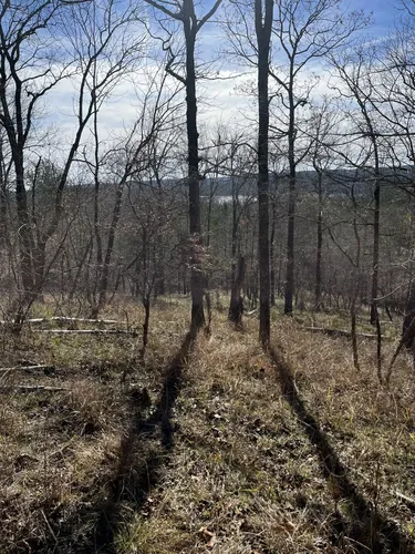 Best Hikes and Trails in Standing Boy Trails | AllTrails