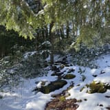 Morrison and Rimrock Trail Loop, Pennsylvania - 430 Reviews, Map ...