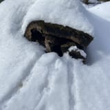 Morrison and Rimrock Trail Loop, Pennsylvania - 546 Reviews, Map ...