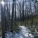 Morrison and Rimrock Trail Loop, Pennsylvania - 546 Reviews, Map ...