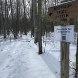 Morrison and Rimrock Trail Loop, Pennsylvania - 465 Reviews, Map ...