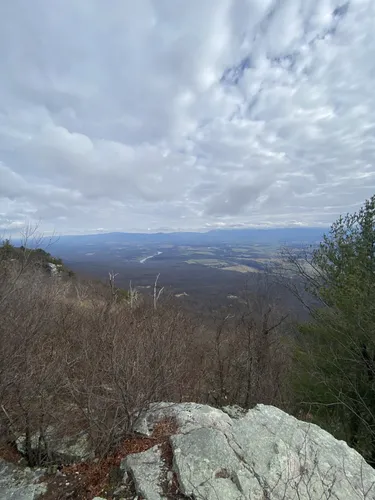 Best Views Trails in Mount Jackson | AllTrails