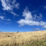 Baring Head Loop, Wellington, New Zealand - 64 Reviews, Map | AllTrails