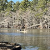 Caddo Lake State Park Pine Ridge and Caddo Forest Loop, Texas - 492 ...