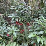 Temple Terrace Riverfront Park Trail, Florida - 35 Reviews, Map | AllTrails