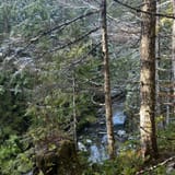 Upper Big Creek Loop, Washington - 2,527 Reviews, Map | AllTrails