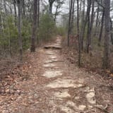 Pinch Em Tight, Rush Ridge, Rough Trail, and Gray's Arch Loop, Kentucky ...
