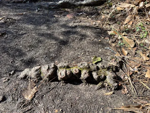 Best Hikes and Trails in Harry Pritchett Running Park | AllTrails